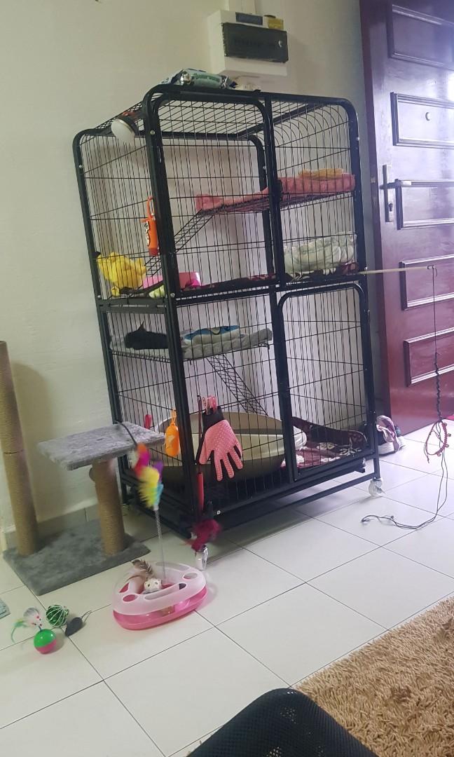 4 tier thick black cage with 3 doors, Pet Supplies, Homes & Other Pet ...