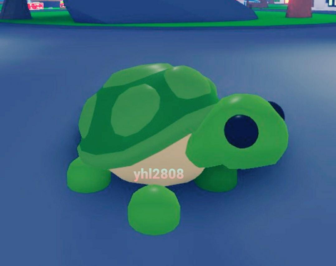 Adopt Me - Turtle, Video Gaming, Gaming Accessories, Game Gift Cards ...