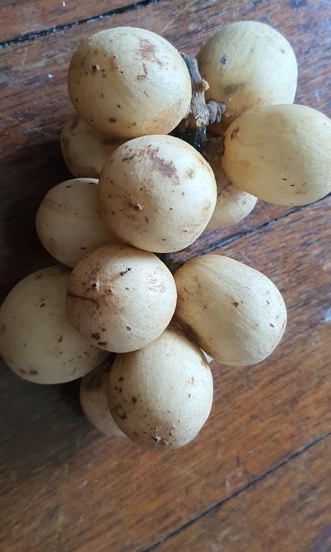 Longkong Lanzones from Davao, Food & Drinks, Fresh Produce on Carousell