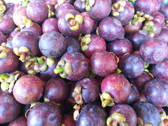 Fresh Davao Mangosteen , Food & Drinks, Fresh Produce on Carousell