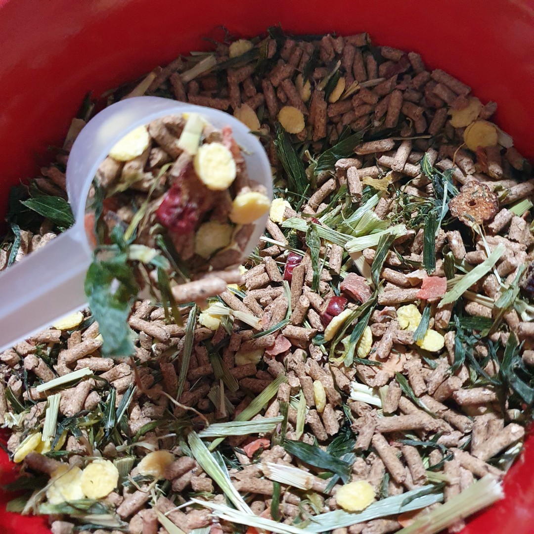 BEST rabbit staple food (2.8kg a pack), Pet Supplies, Pet Food on Carousell