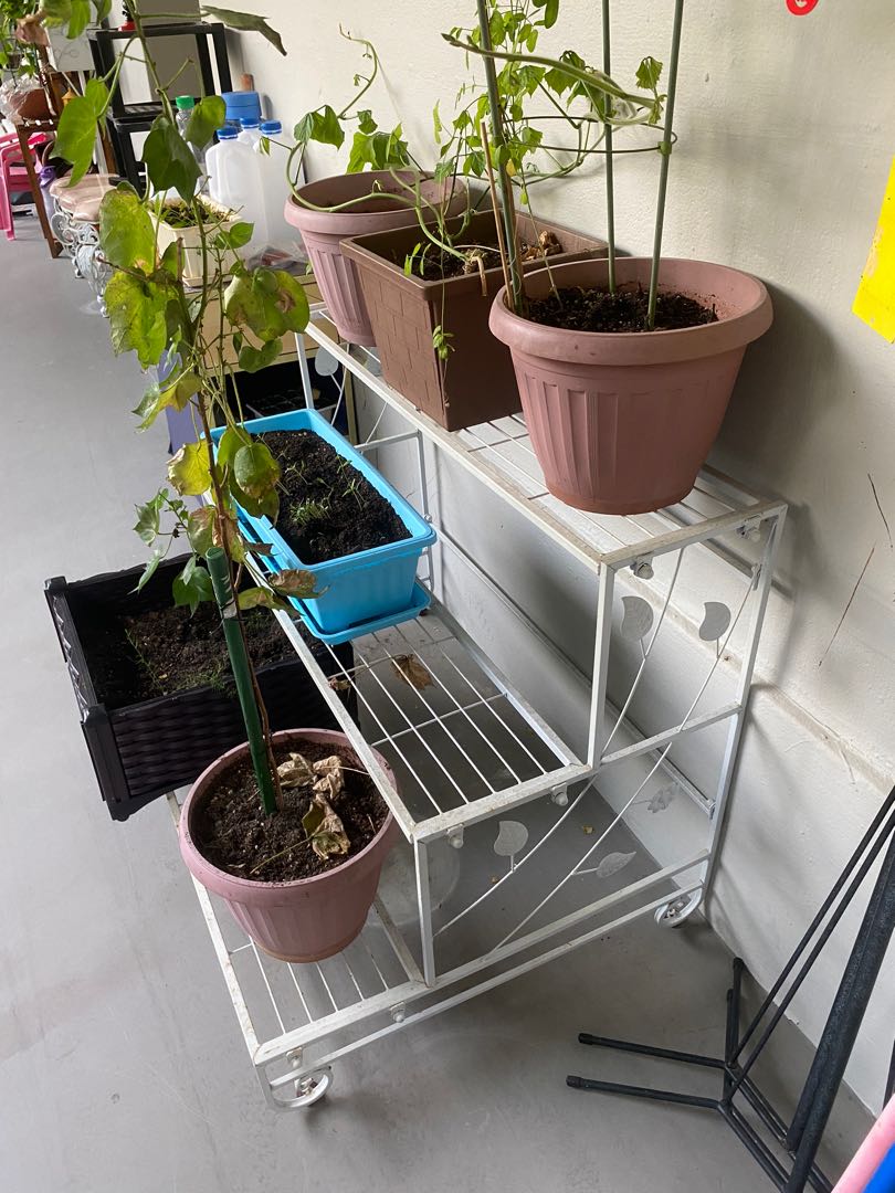 flower Pot 3layer Rack, Furniture & Home Living, Gardening, Pots ...