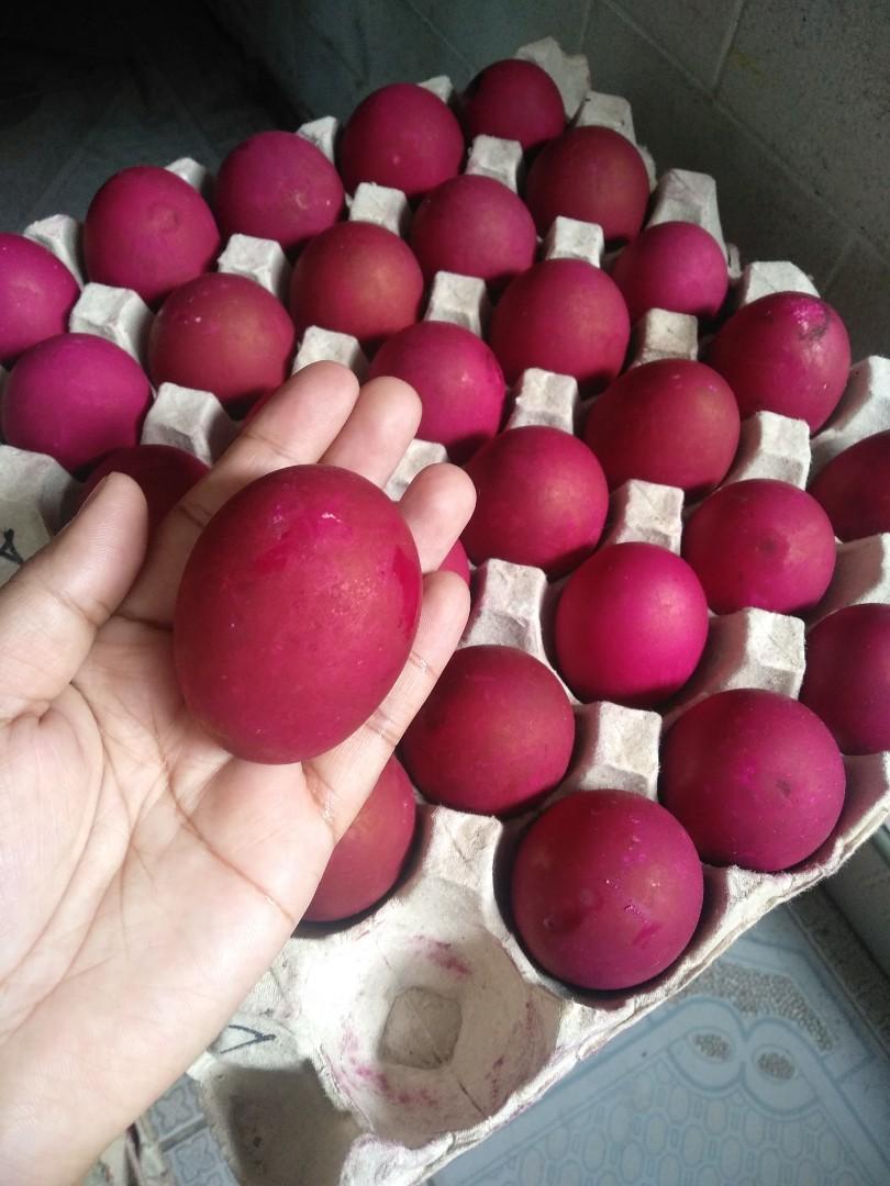 Itlog na Maalat/ Itlog Pula, Food & Drinks, Fresh Produce on Carousell