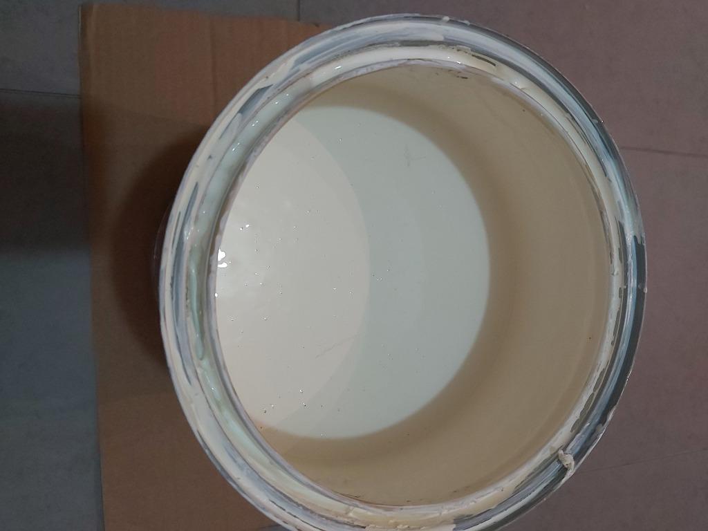 Nippon Paint Odourless All in One 3.5L (Lily White 1137), Everything ...