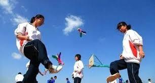 Colourful Toogoo feather shuttlecock Chinese kicking shuttlecock ...