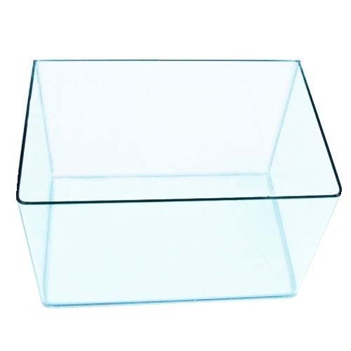 Curved Edge Fish Tank, Pet Supplies, Homes & Other Pet Accessories on ...