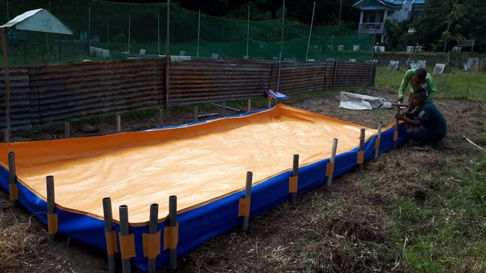 Customize Azolla pond/ Fishpond/ Fishtank/ Circular., Everything Else ...