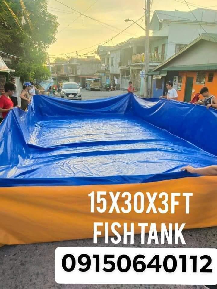 Customize Azolla pond/ Fishpond/ Fishtank/ Circular., Everything Else ...