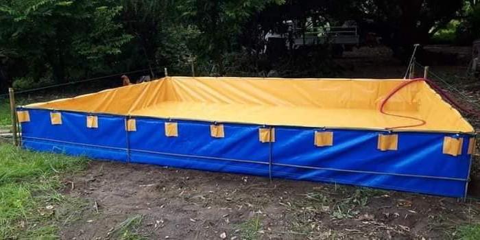 Customize Azolla pond/ Fishpond/ Fishtank/ Circular., Everything Else ...