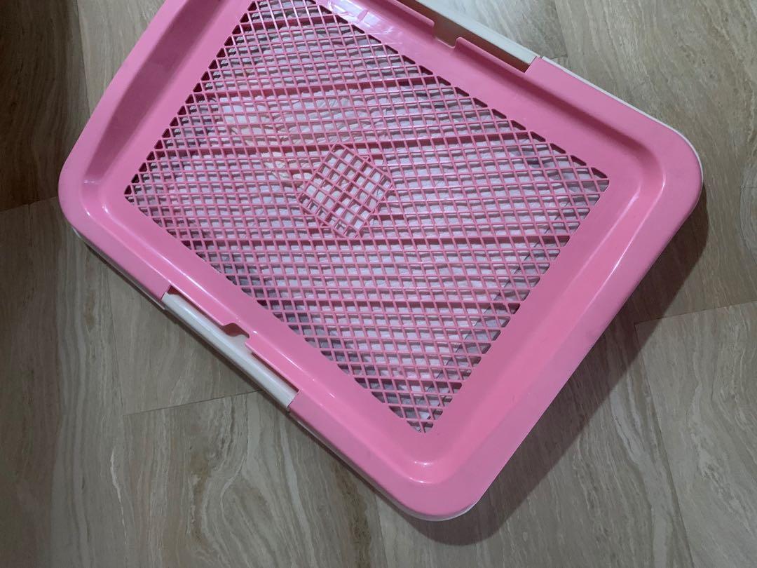 Pet pee tray and food tray , Pet Supplies, Homes & Other Pet ...