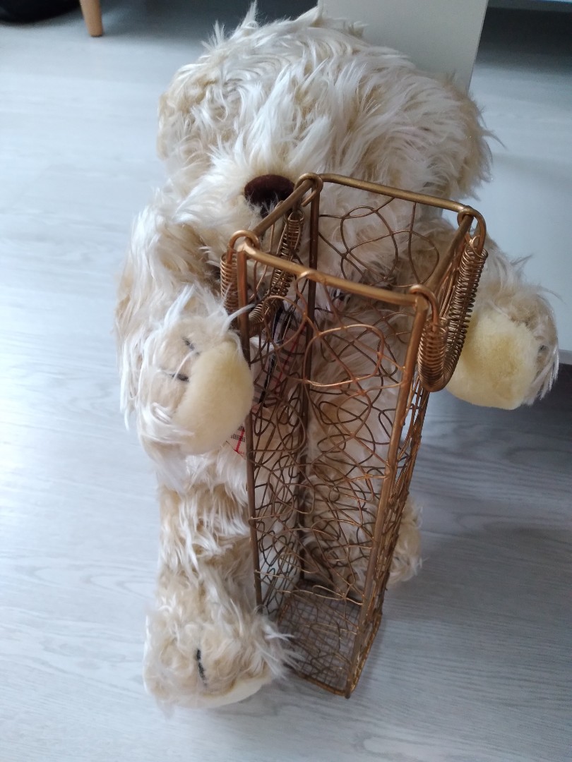 Yoshi Pet, Hobbies & Toys, Toys & Games on Carousell