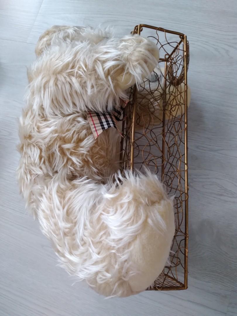 Yoshi Pet, Hobbies & Toys, Toys & Games on Carousell