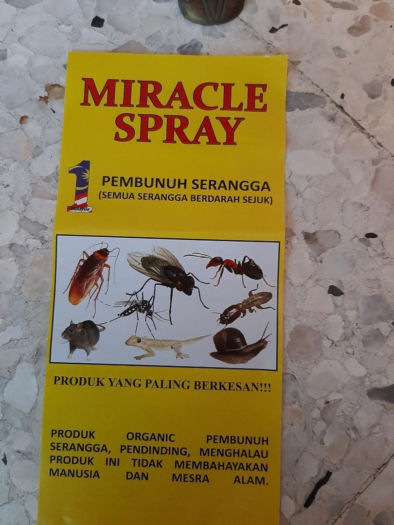 Racun serangga miracle spray, Everything Else, Others on Carousell