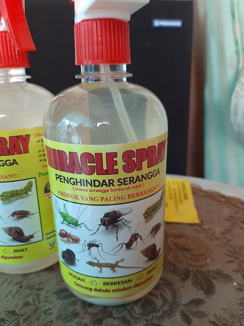 Racun serangga miracle spray, Everything Else, Others on Carousell