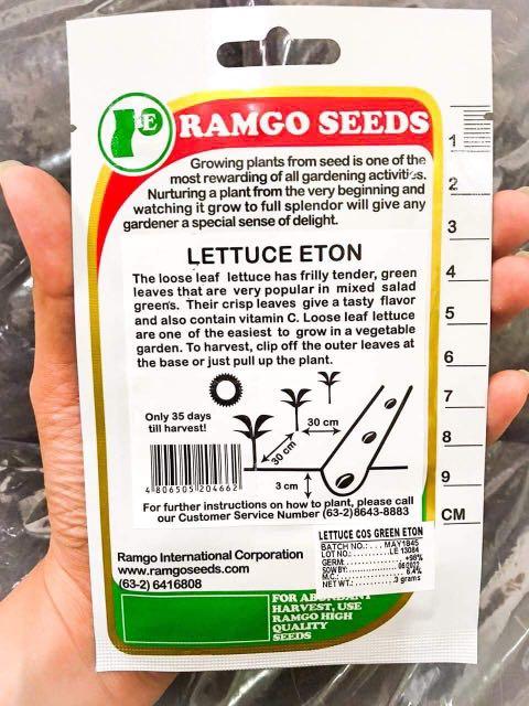 Ramgo Romaine / Eton Lettuce Seeds, Furniture & Home Living, Gardening ...