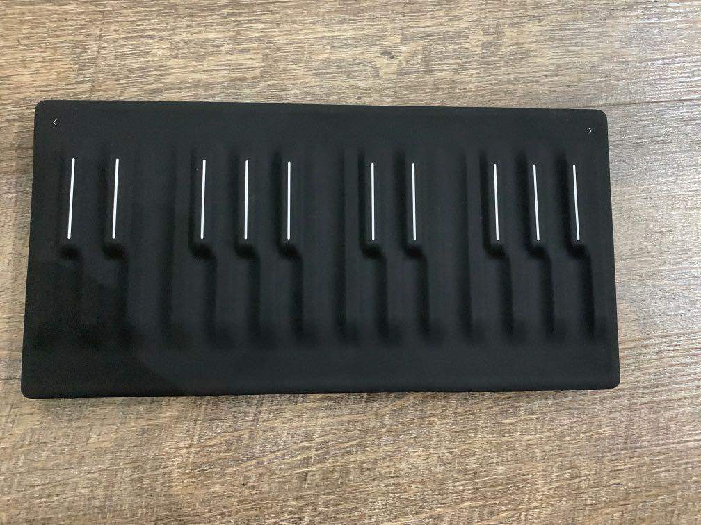 Roli Seaboard Block, Hobbies & Toys, Music & Media, Musical Instruments ...