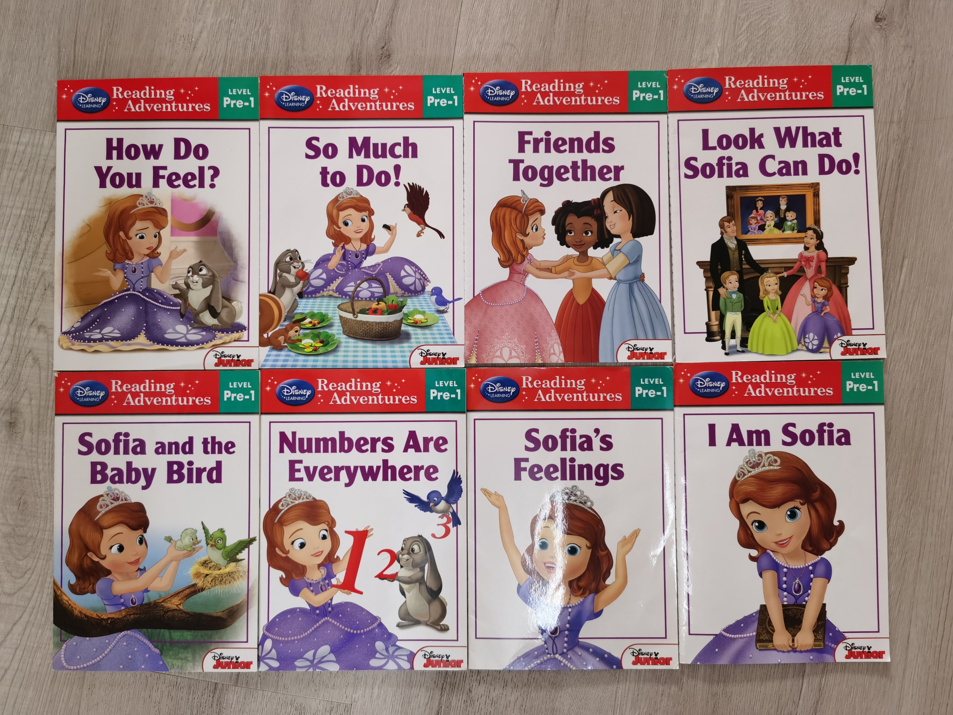 Sofia The First Box Set, Hobbies & Toys, Books & Magazines, Children's ...