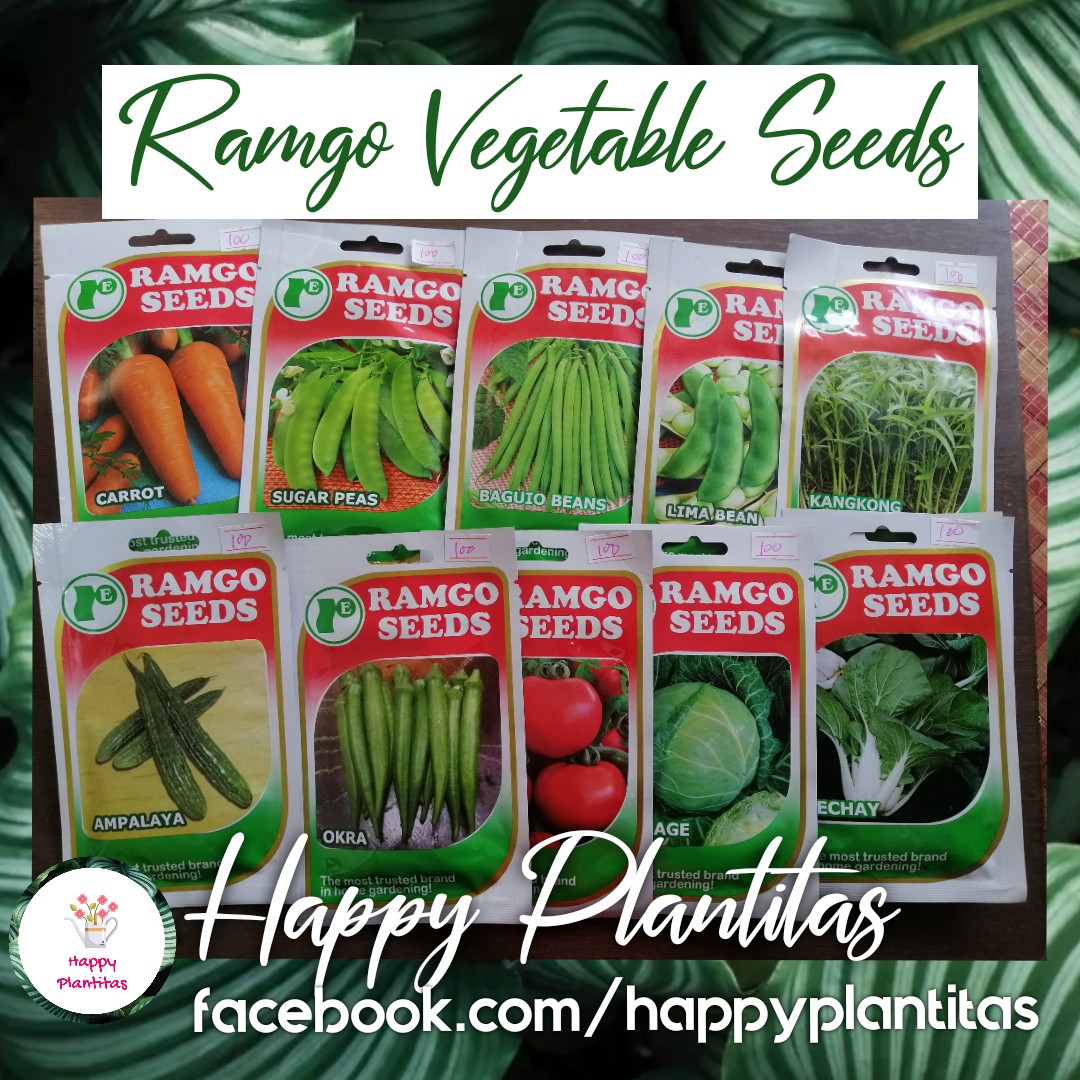 Ramgo Vegetable Seeds, Furniture & Home Living, Gardening, Plants ...