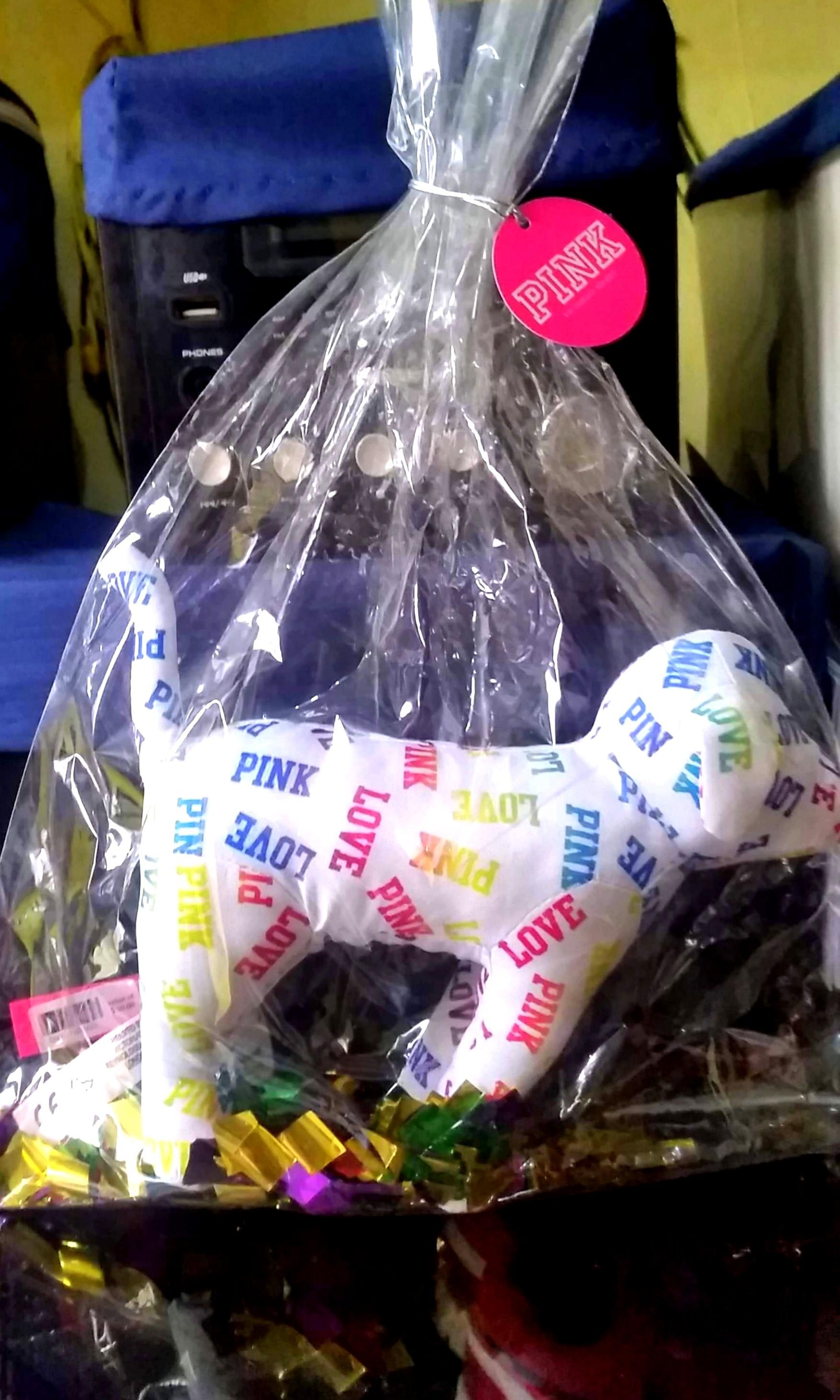 VICTORIA SECRET DOG PLUSH COLLECTION, Hobbies & Toys, Toys & Games on ...