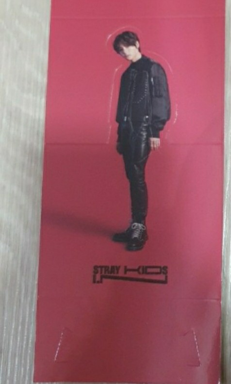 free Stray kids Jeongin standee go live, Hobbies & Toys, Memorabilia ...