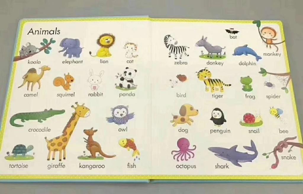 Usborne My First Word Book(set of 5 books) Point Readable, Hobbies ...