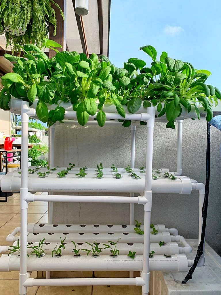 3-Tiers NFT Hydroponics System, Furniture & Home Living, Gardening ...