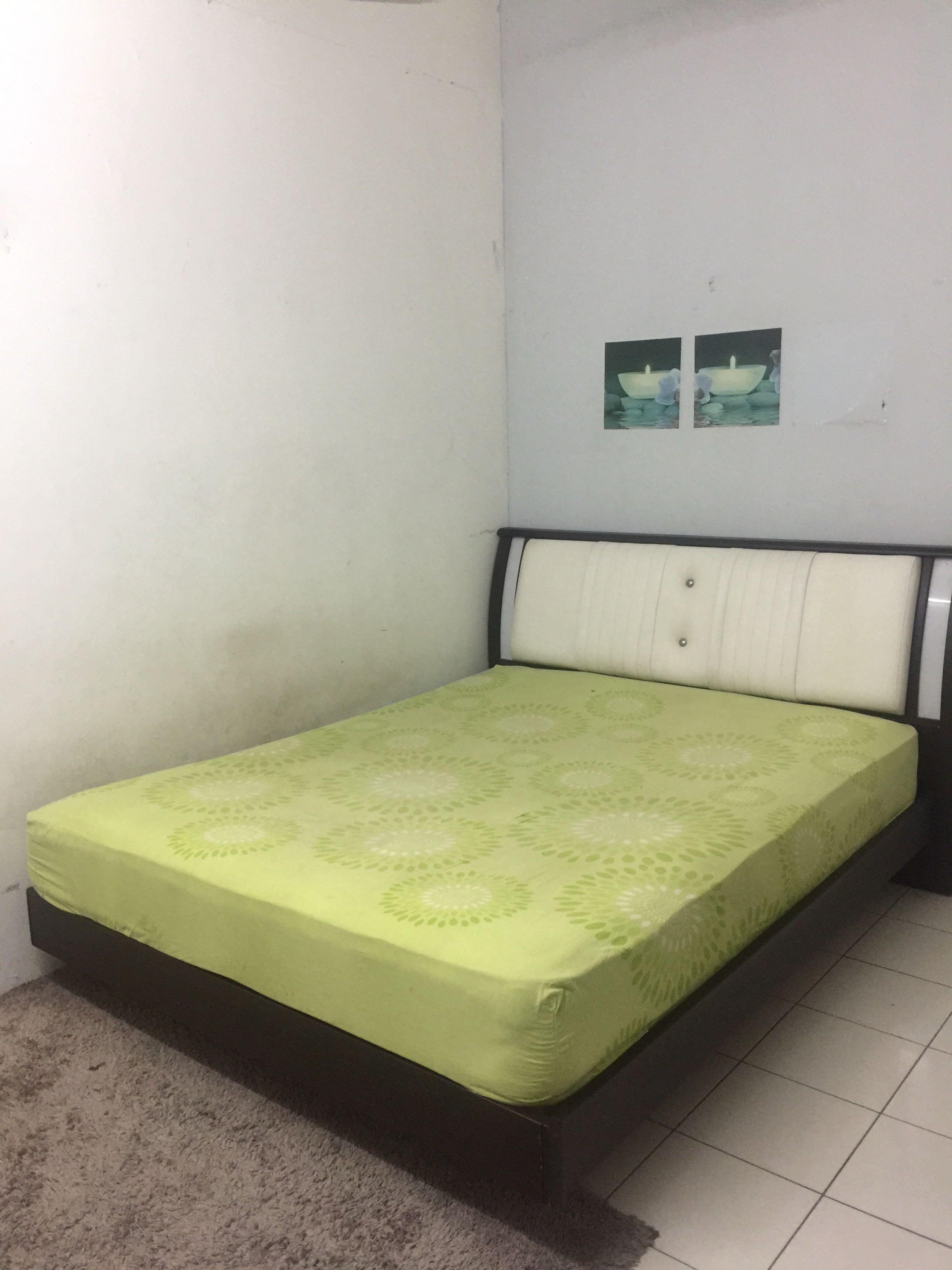 katil queen kayu solid wood + tilam spring goodnite tebal, Furniture ...