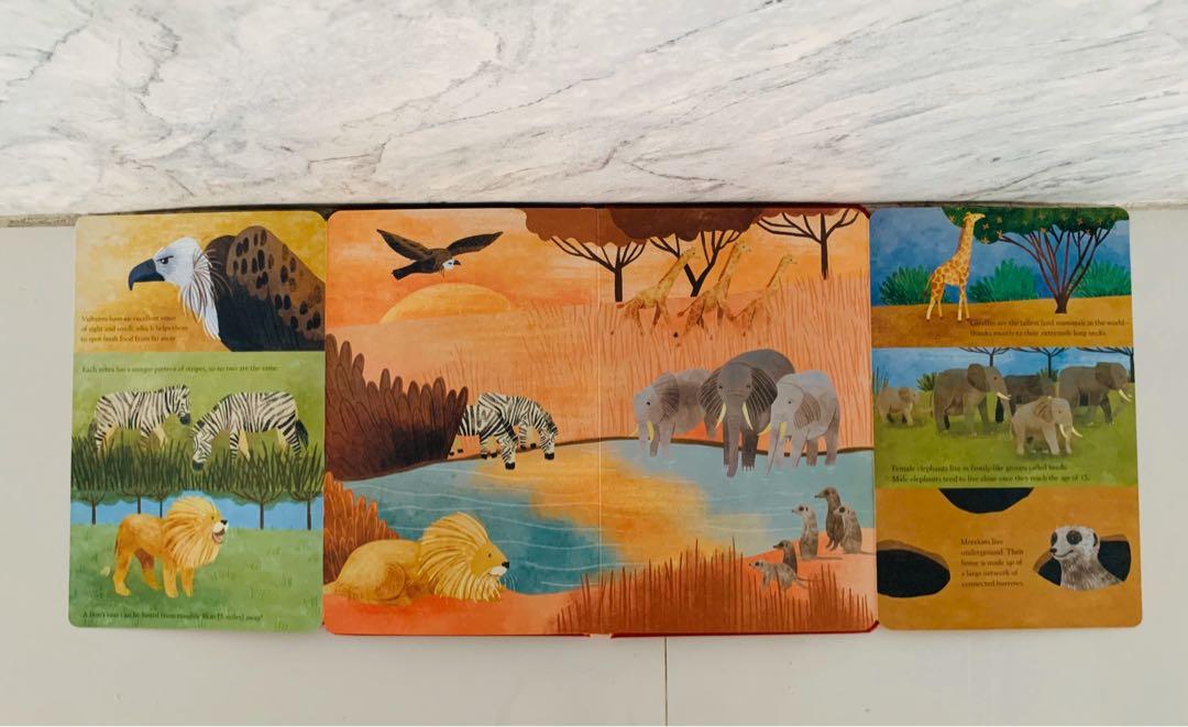 Lift-the-flap nature: Hidden World | Animals | Forest | Ocean, Hobbies ...