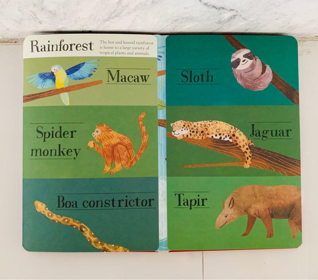 Lift-the-flap nature: Hidden World | Animals | Forest | Ocean, Hobbies ...