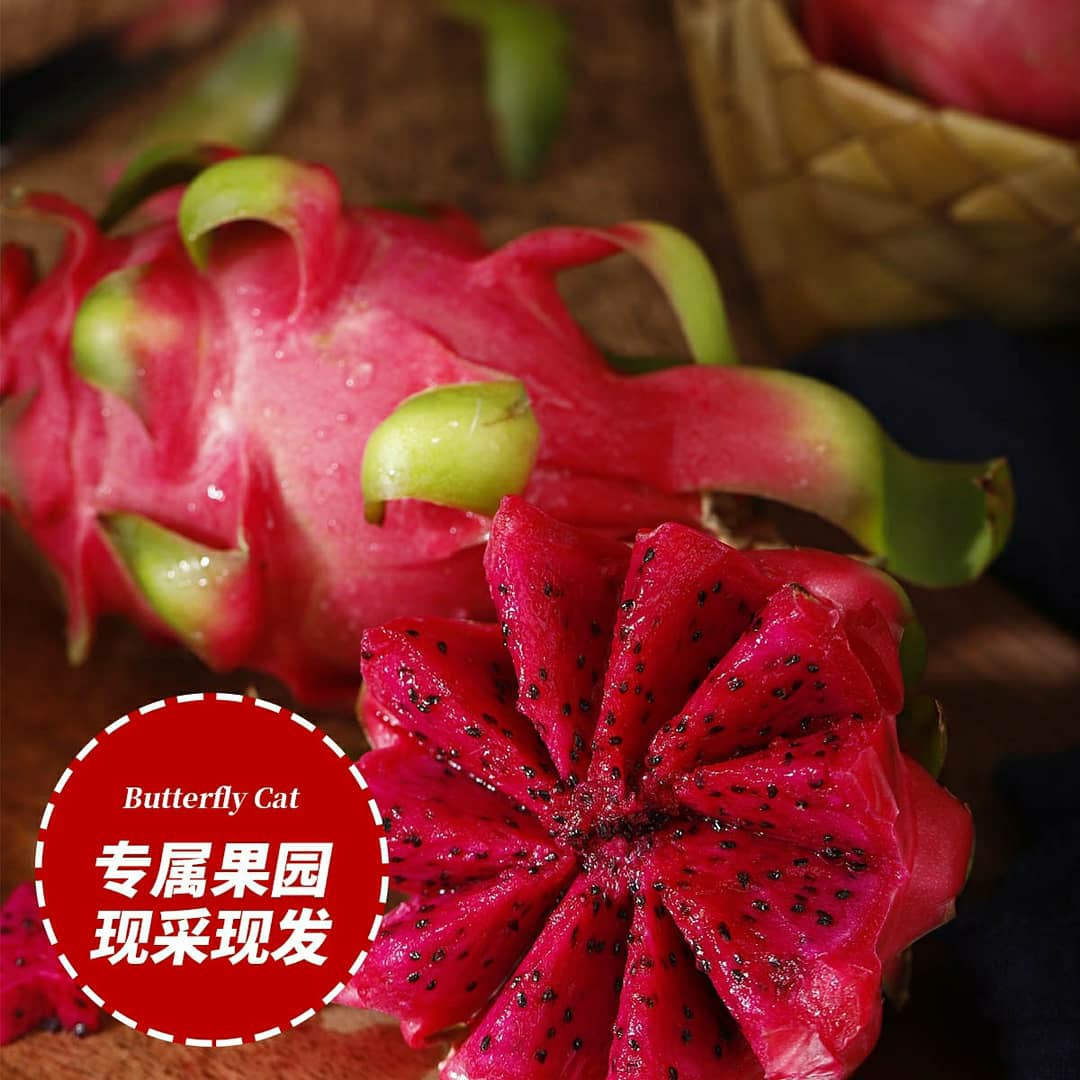 Organic red dragon fruits, Food & Drinks, Chilled & Frozen Food on ...