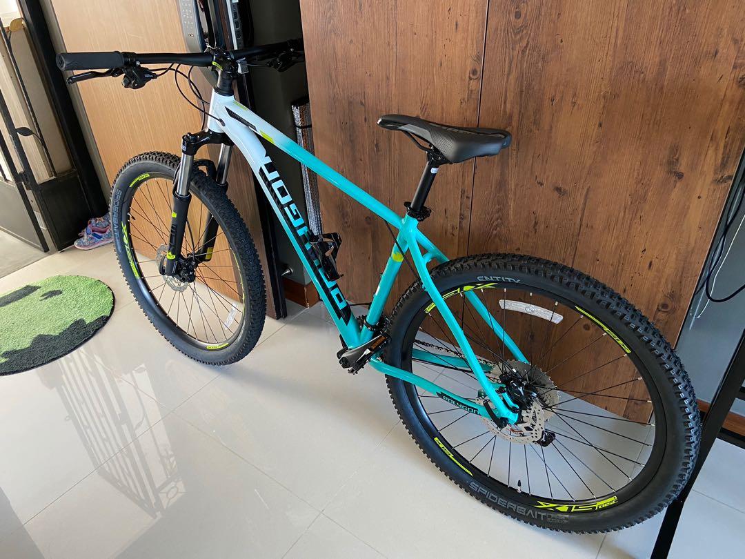 Polygon Xtrada 5 2021 Limited Edition, Bicycles & PMDs, Bicycles, Mountain Bikes on Carousell