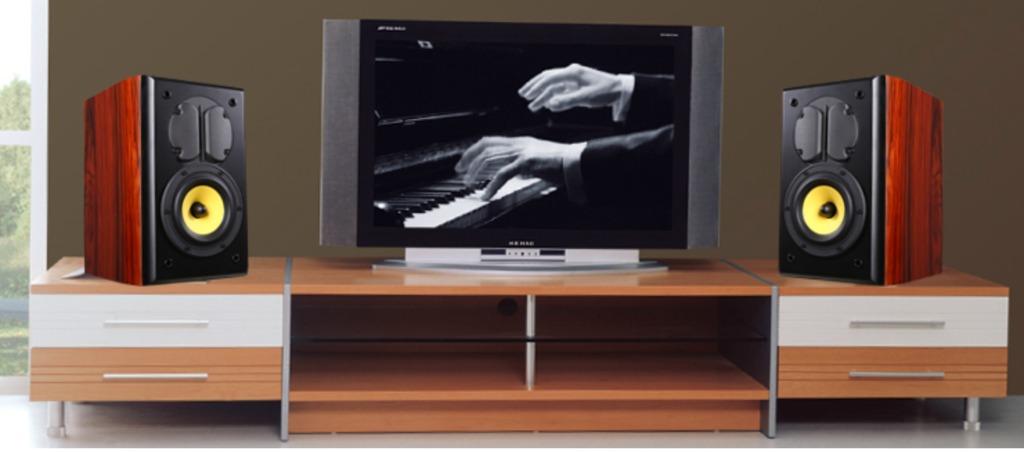 SWANS SPEAKER M1 - KIT VERSION, Audio, Other Audio Equipment on Carousell