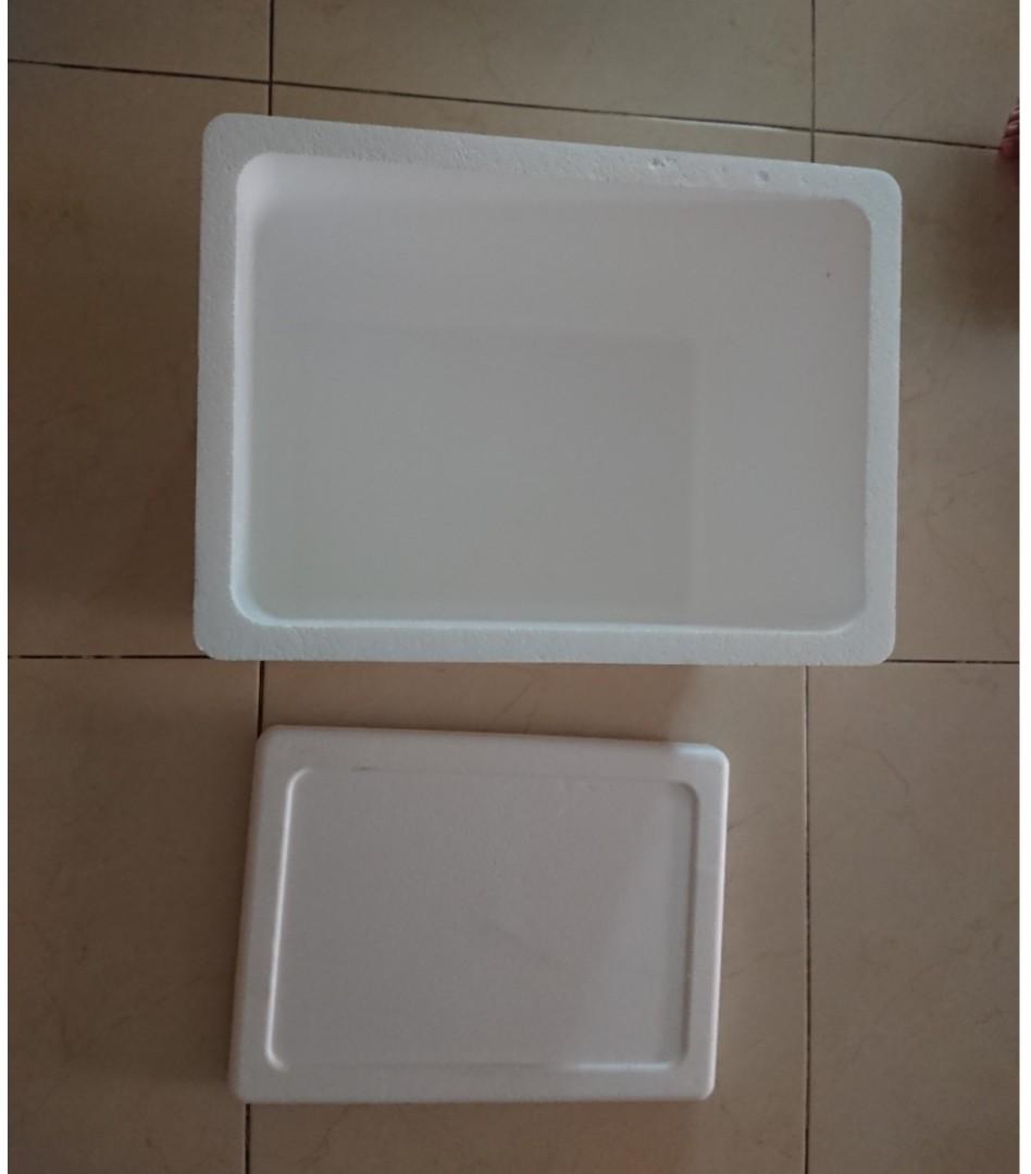 Thermal Foam Box / Styrofoam Ice Box / Cooler Box / Picnic box / Foam ...