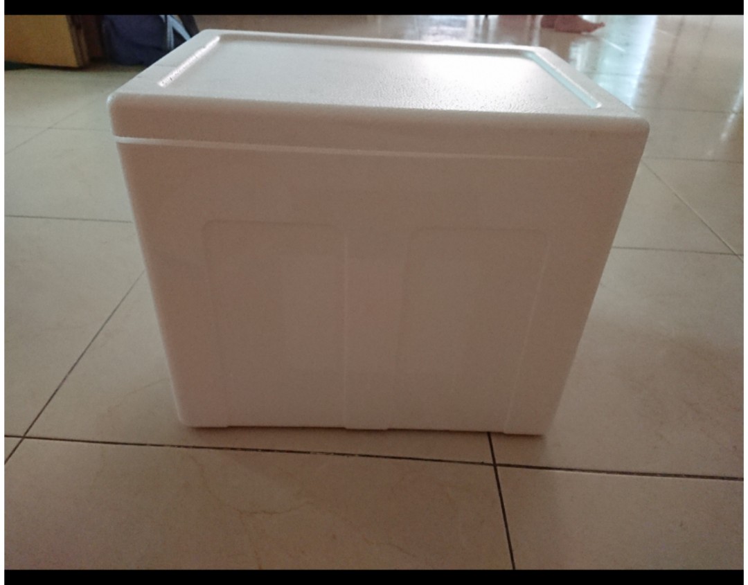 Thermal Foam Box / Styrofoam Ice Box / Cooler Box / Picnic box / Foam ...