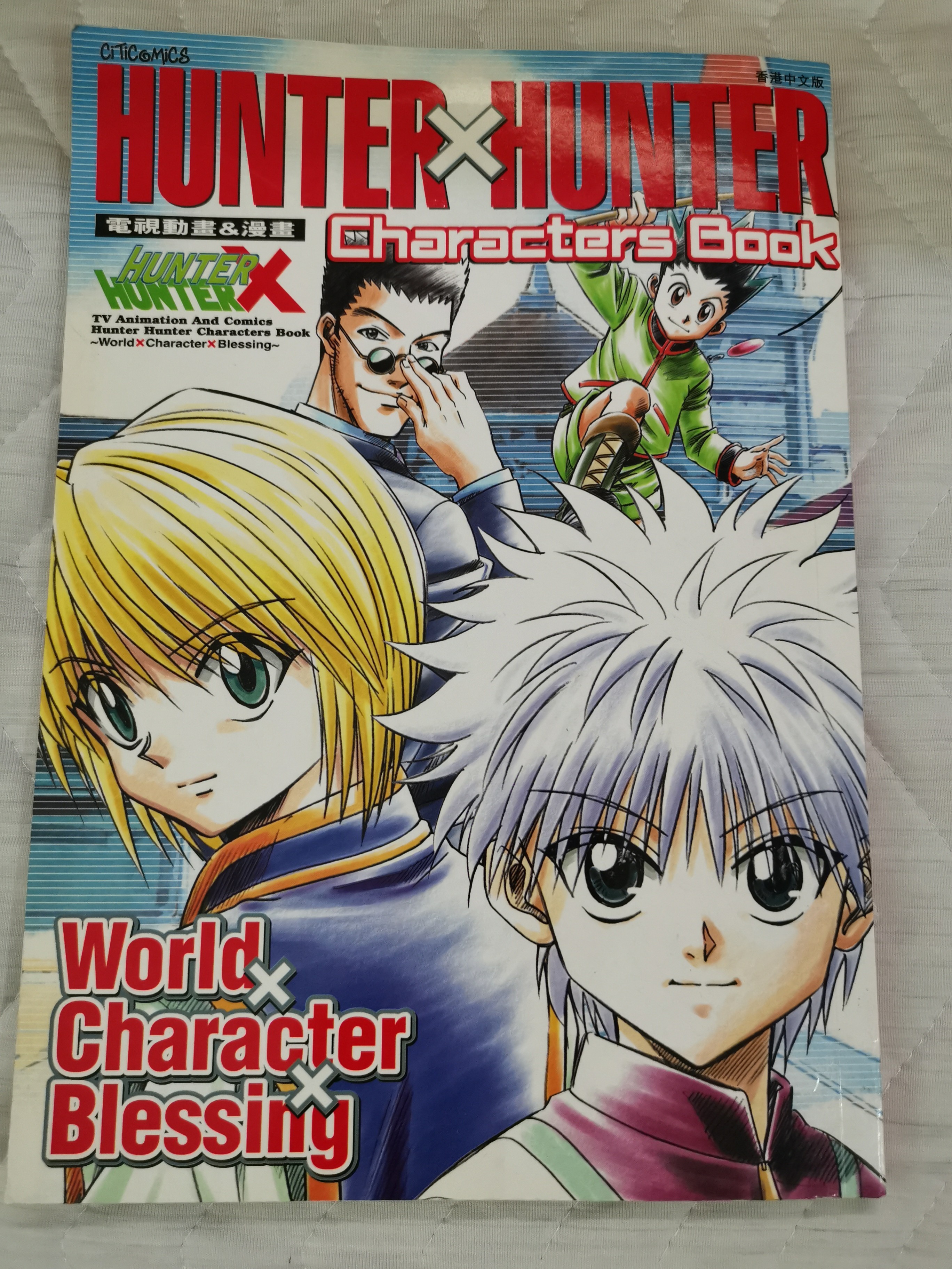 Hunter x hunter 全職 經典角色圖集 絕版, 興趣及遊戲, 書本 & 文具, 漫畫 - Carousell
