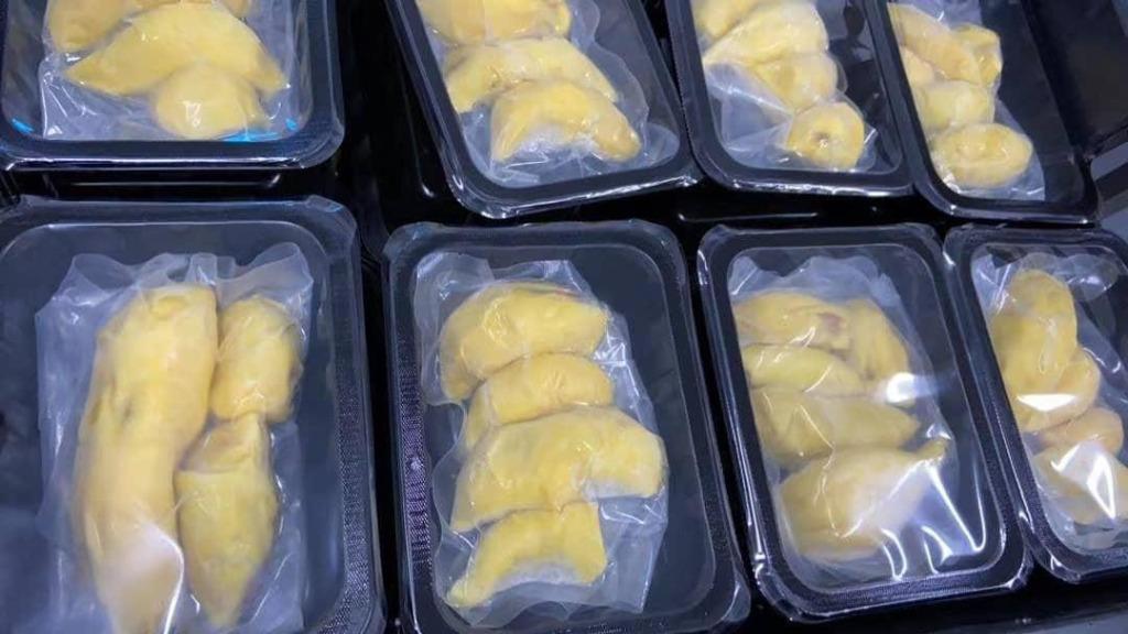 Premium A1 Grade Frozen MSW Durian, Food & Drinks, Packaged Snacks on ...