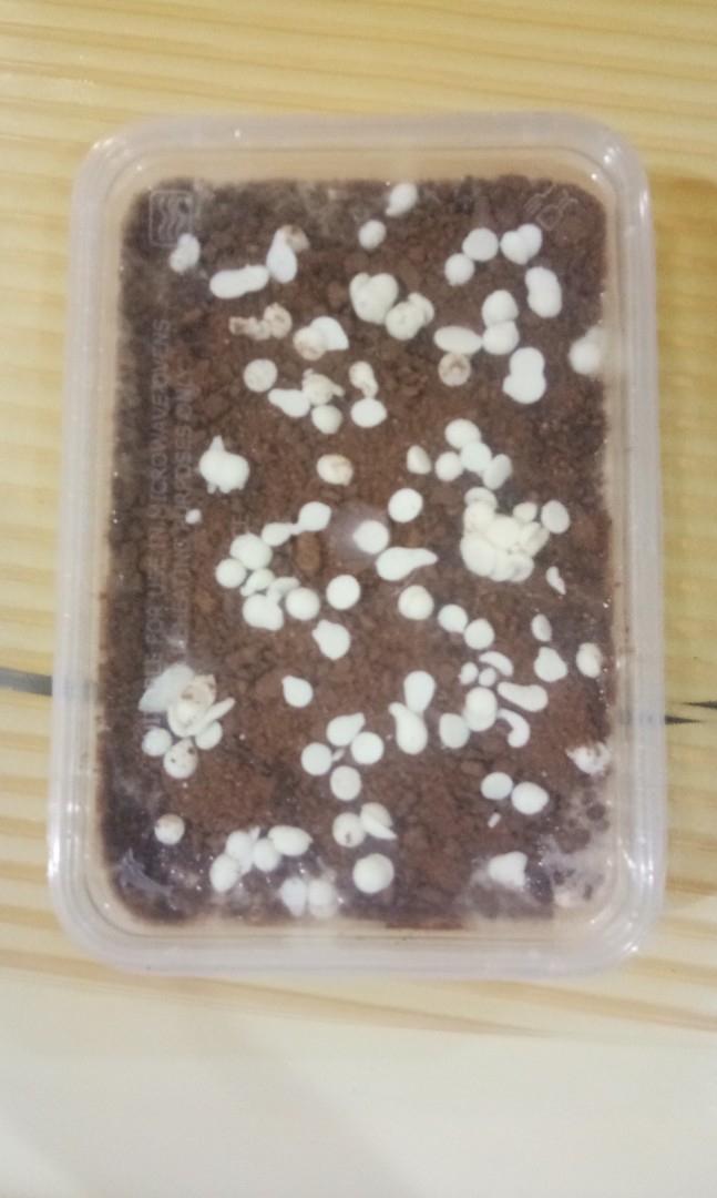 Mocha Graham Float, Food & Drinks, Packaged & Instant Food on Carousell