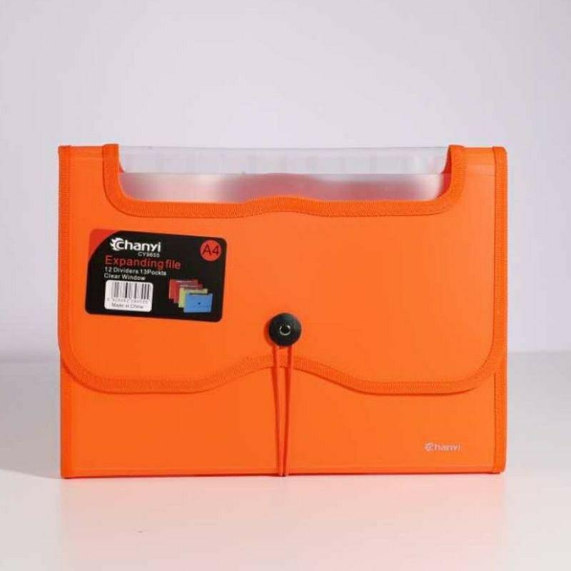 A4 13 Pockets Colored File Organizer / Expanding Envelope blue / pink ...