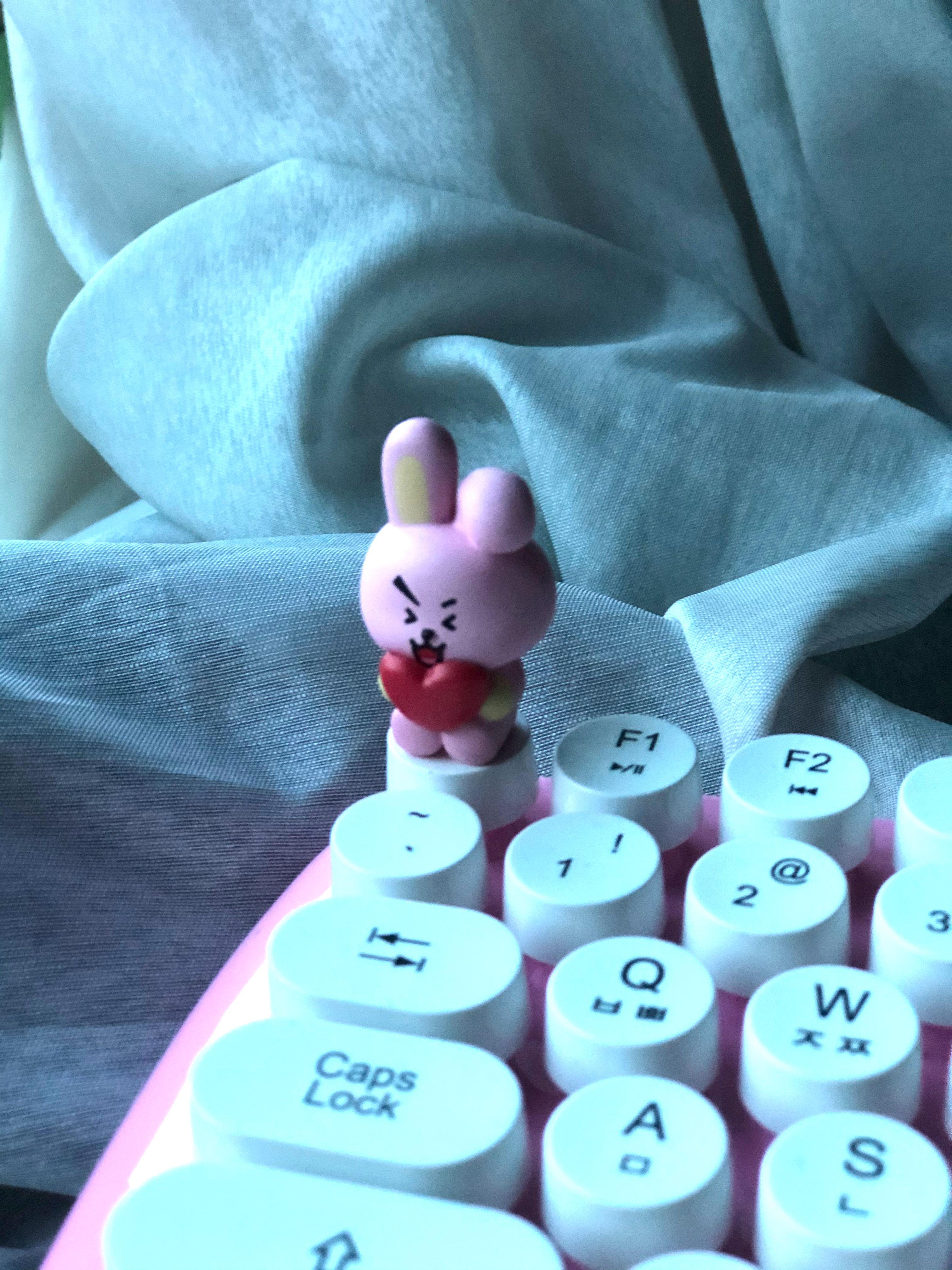 BT21 Cooky Retro Keyboard, Computers & Tech, Parts & Accessories ...