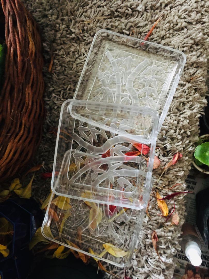 Glass Patungan ng planter, Furniture & Home Living, Gardening, Plants ...