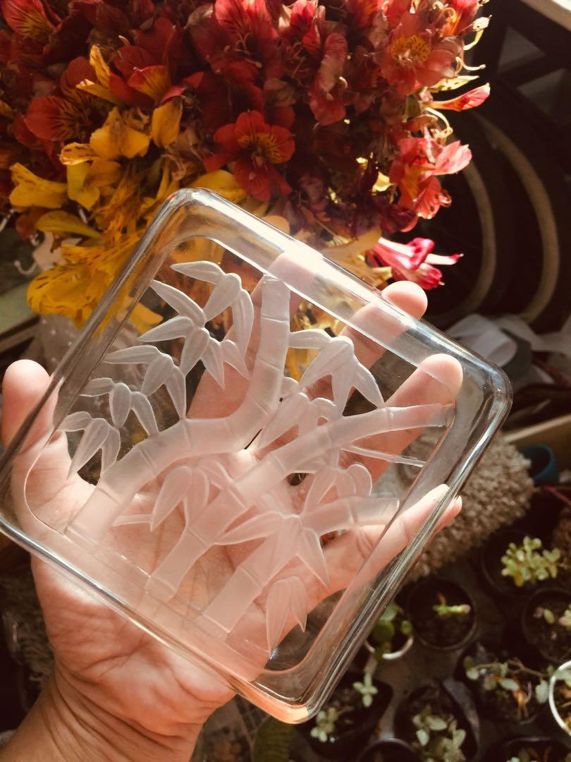 Glass Patungan ng planter, Furniture & Home Living, Gardening, Plants ...