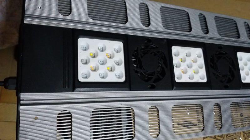 Maxspect Razor 320w - 15,000k, Pet Supplies, Homes & Other Pet ...