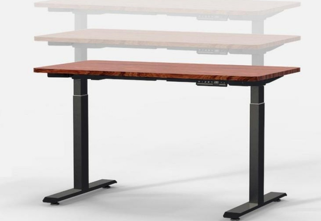 (Pre-order) Electric motorized height-adjustable table work from home ...