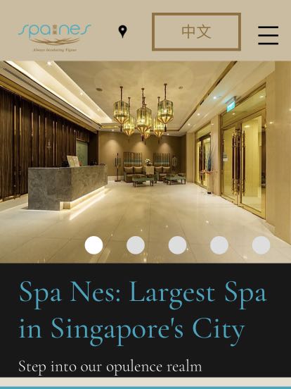Spa Nes Spa Pass, Everything Else on Carousell
