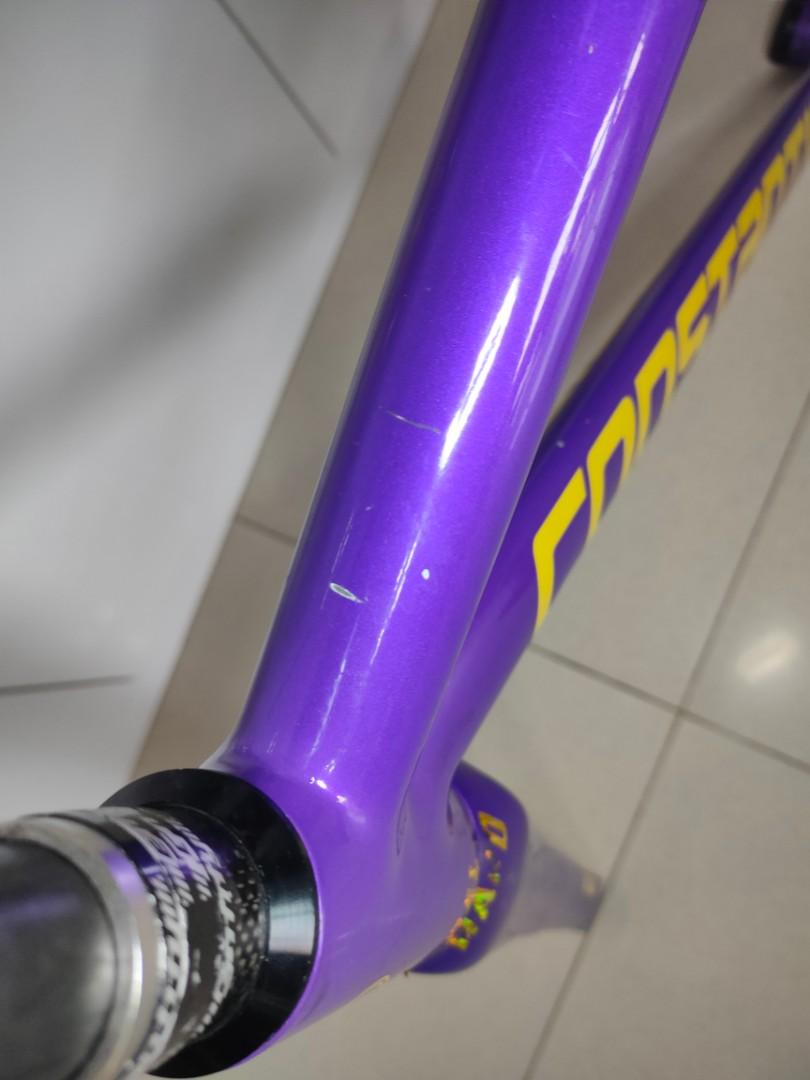 Constantine Drag 2016 Violet Frameset, Bicycles & PMDs, Bicycles ...
