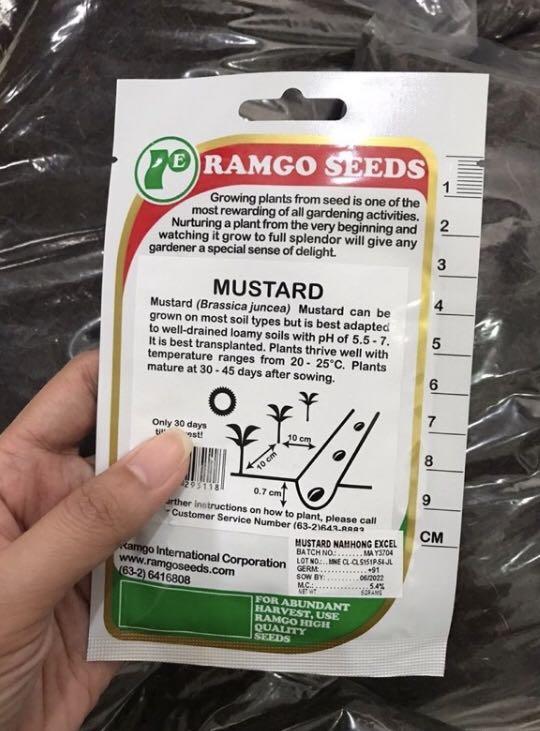 Ramgo Mustard Seeds, Furniture & Home Living, Gardening, Plants & Seeds ...