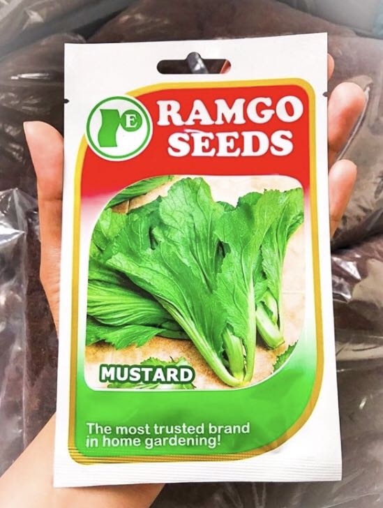 Ramgo Mustard Seeds, Furniture & Home Living, Gardening, Plants & Seeds ...