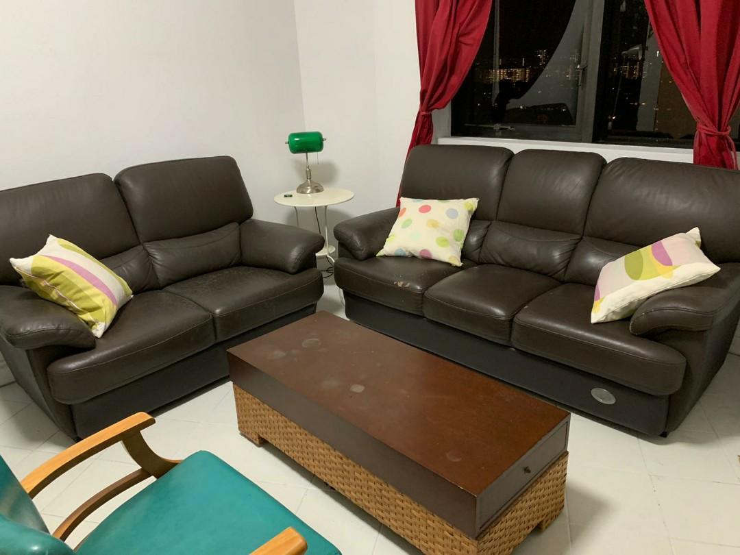 Free Sofa, Furniture & Home Living, Furniture, Sofas on Carousell