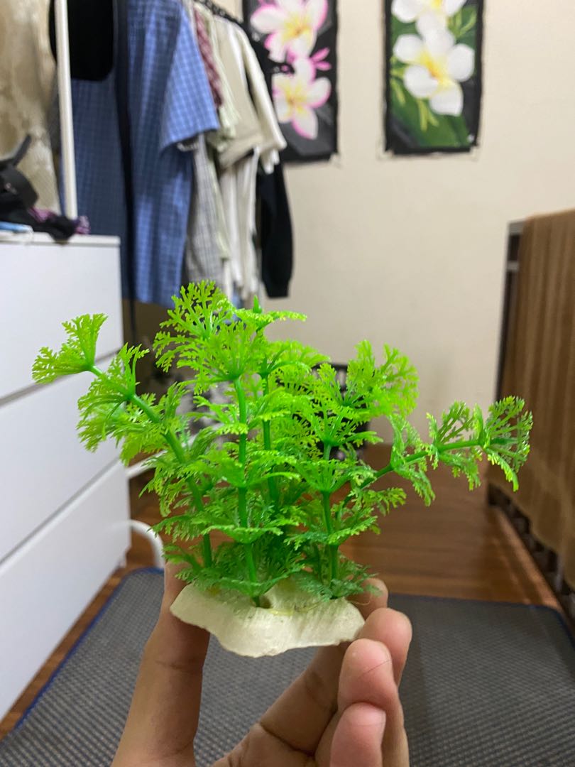 Pokok perhiasan ikan (green), Hobbies & Toys, Stationery & Craft ...