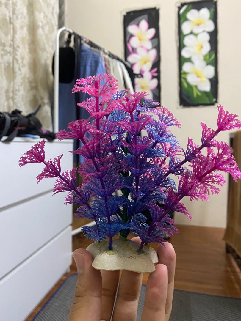 Pokok perhiasan ikan (purple), Hobbies & Toys, Stationery & Craft ...
